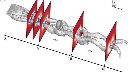 Estimating forces from cross-sectional data in the wake of flows past a ...