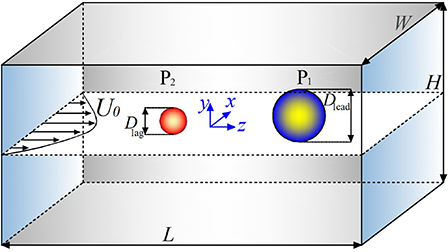Pair of particle chain self-organization in a square channel flow of ...