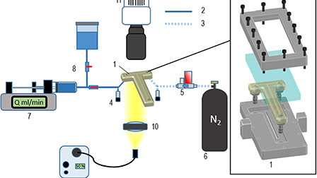 Experimental and numerical study of Taylor flow in a square minichannel ...