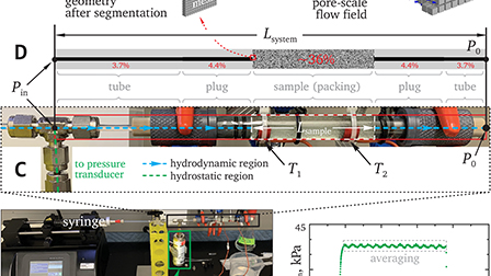Correct estimation of permeability using experiment and simulation | Physics of Fluids | AIP ...