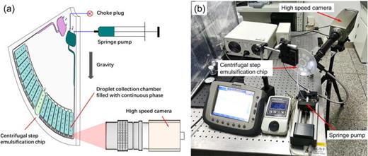 Dynamic of centrifugal step emulsification and prediction of droplet ...