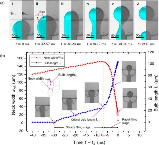 Dynamic of centrifugal step emulsification and prediction of droplet ...