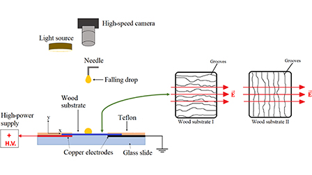 Paint drop spreading on wood and its enhancement by an in-plane ...