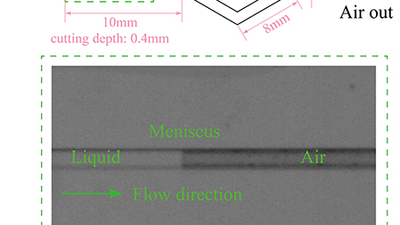 Early stage of externally driven filling of viscous fluids within a ...