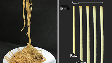 Swelling, softening, and elastocapillary adhesion of cooked pasta ...