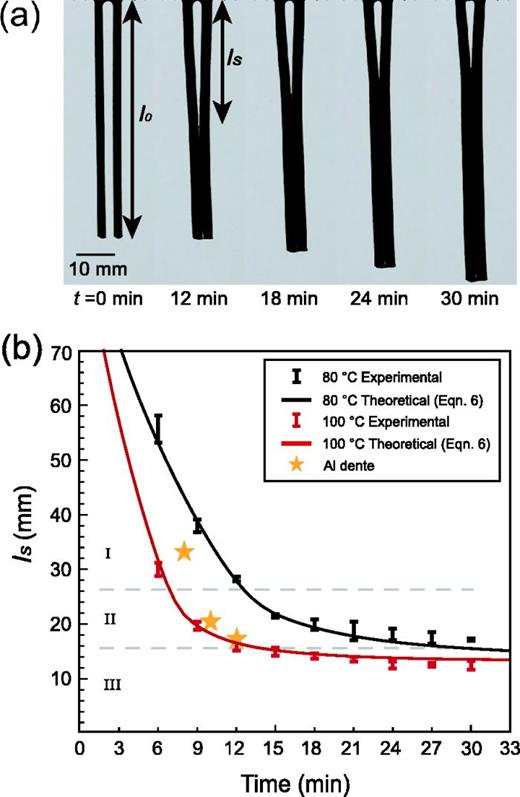 Swelling, softening, and elastocapillary adhesion of cooked pasta ...