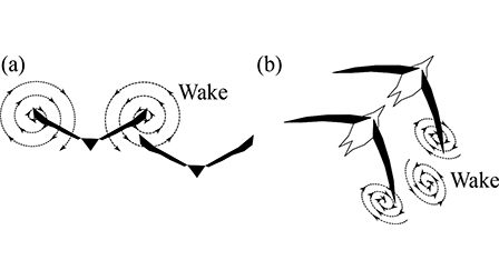 Wake aerodynamics of flapping systems in formation flight | Physics of ...