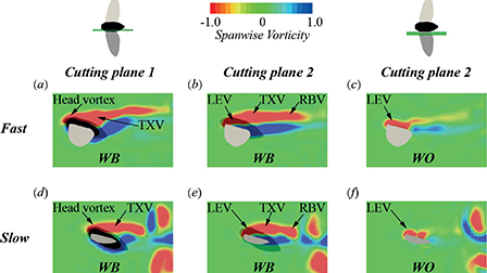 Effects of wing–body interaction on hawk moth aerodynamics and ...