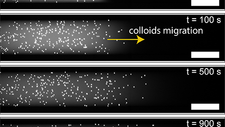 Microfluidic free interface diffusion: Measurement of diffusion ...