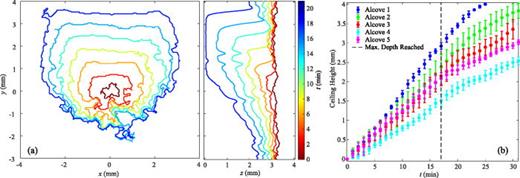 Alcove formation in dissolving cliffs driven by density inversion ...