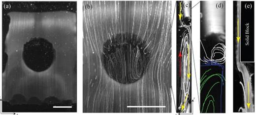 Alcove formation in dissolving cliffs driven by density inversion ...