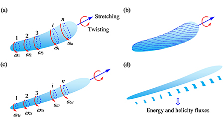 Discovery of the zeroth law of helicity spectrum in the pre-inertial ...