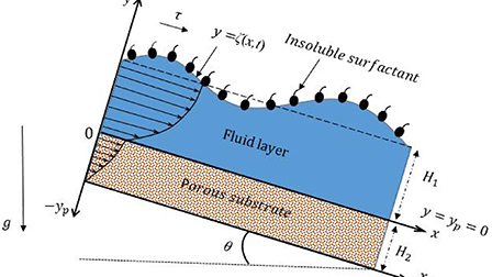 Linear instability of a surfactant-laden shear imposed falling film over an inclined porous bed ...
