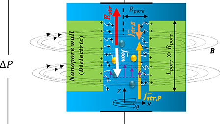Stimuli-responsive polyelectrolyte brushes for regulating streaming ...