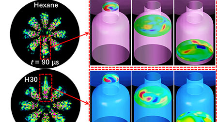 Collaborative mechanism of the plume expansion and fluctuations in the ...