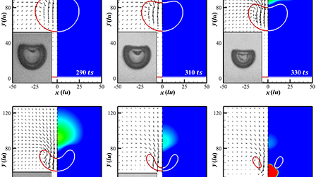 Mesoscopic modeling of vapor cavitation bubbles collapse and ...