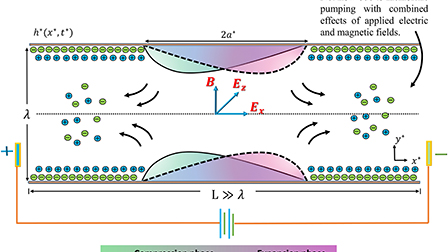 Electro-osmosis modulated periodic membrane pumping flow and particle ...
