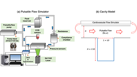 Evolution of vortex structures in an open deep cavity under pulsatile ...
