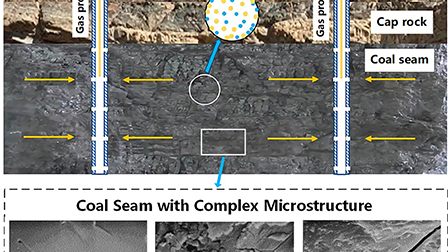 A fractal power-law approach for investigating the interactions between ...