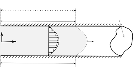 Transient dynamics of pressure-driven encroachment in narrow conduits ...
