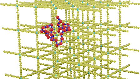 Linear polymer chain diffusion in semi-flexible polymer network: A ...