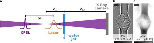 Structural dynamics of water in a supersonic shockwave | Physics of ...