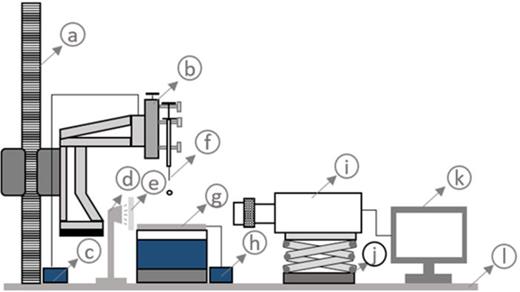 Morphed inception of dynamic Leidenfrost regime in colloidal dispersion ...
