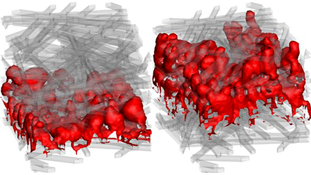 Investigation of flow characteristics on porous gas diffusion layer ...