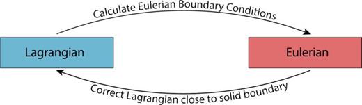 Coupling of OpenFOAM with a Lagrangian vortex particle method for external aerodynamic ...