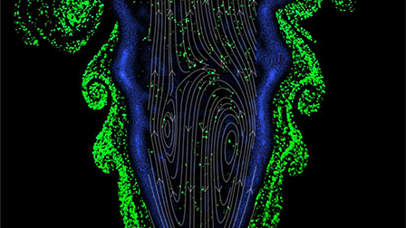 Influence of inner shear layer on the emergence of central ...