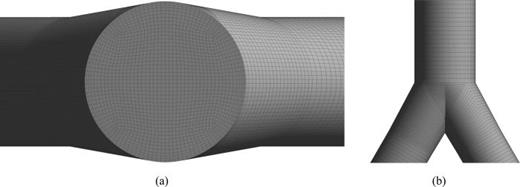 Application of heliox for optimized drug delivery through respiratory ...