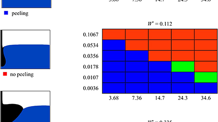 Numerical simulation of the oil peeling mechanism on a hydrophilic ...