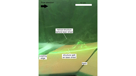 Laboratory investigation of nominally two-dimensional anabatic flow on ...
