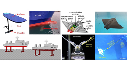 Recent advances in hydrodynamics of wing propulsive lifting systems for ...