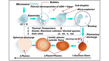 Experimental study on microwave-induced puffing, micro-explosion, and ...