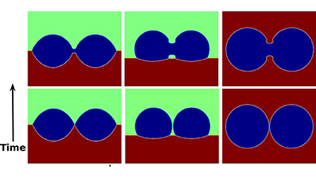 Unveiling the spatiotemporal evolution of liquid-lens coalescence: Self ...