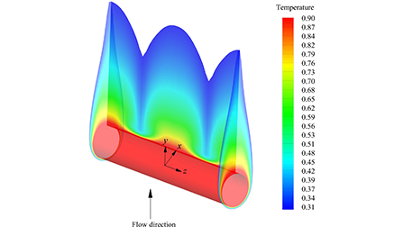 Three-dimensionality effects on the flow past a horizontal heated ...