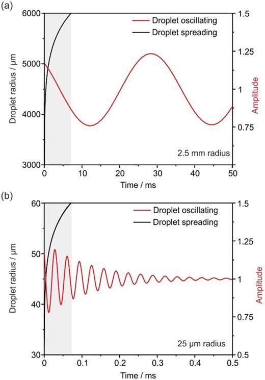 High frame-rate imaging of the shape oscillations and spreading ...