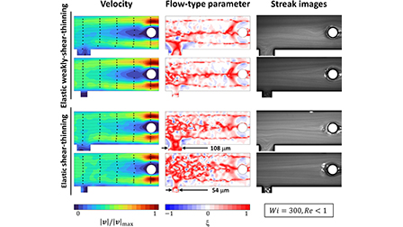 On flow disturbances caused by pressure taps in highly elastic flows ...