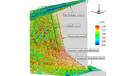 Investigation of transitional flow in a transonic compressor rotor with hub leakage using large ...