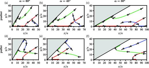Microswimming under a wedge-shaped confinement | Physics of Fluids ...