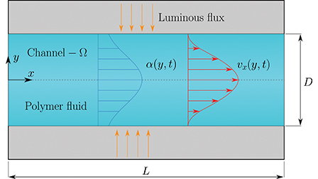 Fluid flow during phase transition: From viscous fluid to viscoelastic ...