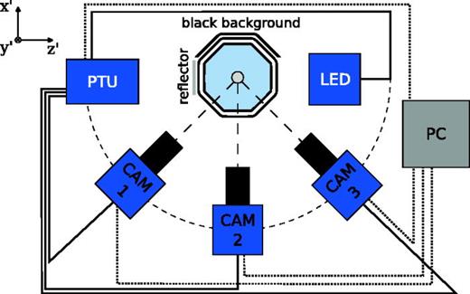 Four-dimensional flow field near a sphere settling in Newtonian fluid ...