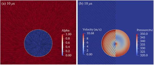 The mechanisms of jetting, vortex sheet, and vortex ring development in ...