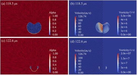 The mechanisms of jetting, vortex sheet, and vortex ring development in ...