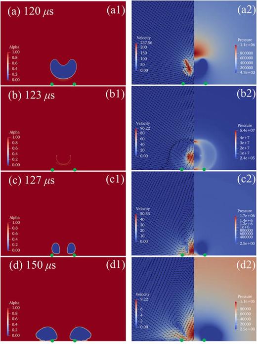 The mechanisms of jetting, vortex sheet, and vortex ring development in ...