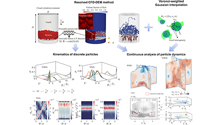 Particle dynamics in vertical vibration-driven immersed granular systems: A study with resolved ...