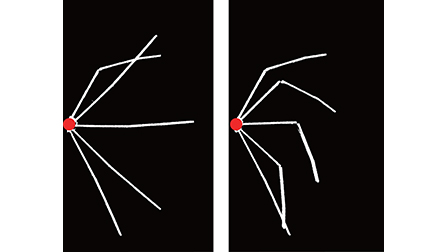 Asymmetric flapping of a multi-segmented elastic structure | Physics of ...