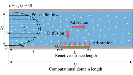Characteristics of advection–diffusion–Langmuir adsorption processes in two-dimensional plane ...