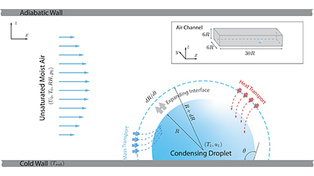 Convective transport characteristics of condensing droplets in moist ...